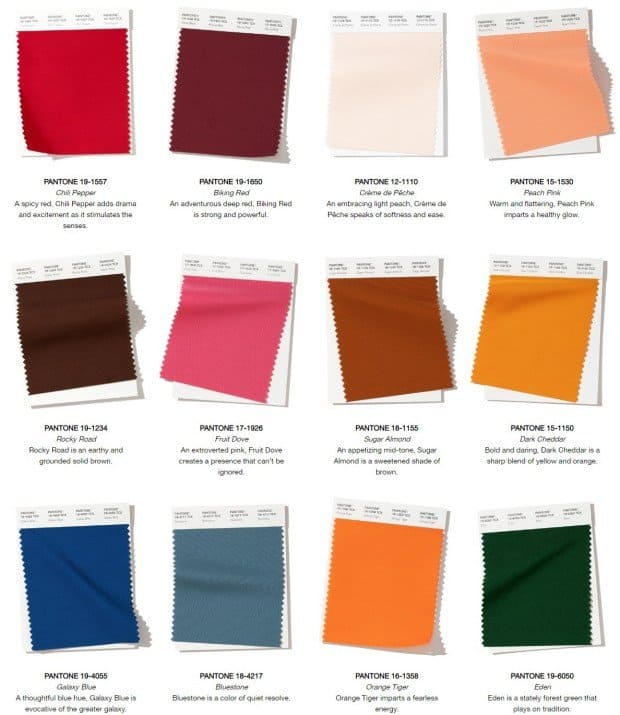 2019-2020 Fall and Winter Color Trends